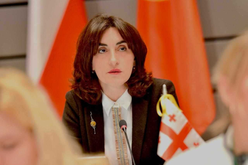 მაკა ბოჭორიშვილი ოპოზიციაზე როდესაც შენ ევროკავშირს უყურებ ისე თითქოს